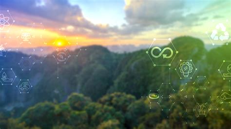 How Supply Path Optimization Creates Transparency In Programmatic Advertising Viant Technology Llc