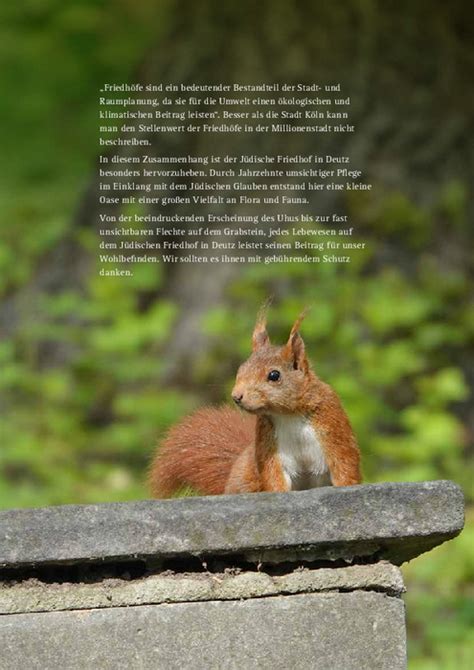 Biodiversität In Der Millionenstadt „der Jüdische Friedhof In Köln