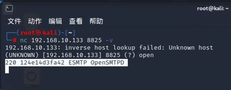 Cve Opensmtpd Csdn