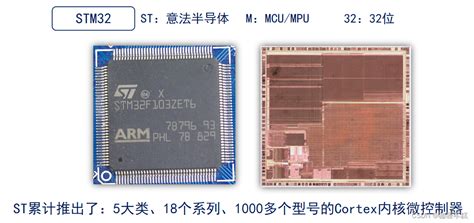 【正点原子stm32】初识stm32芯片分类、资料下载、命名规则、选型stm32选型 Csdn博客