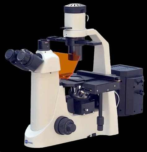 Bim800flw Inverted Biological Microscope