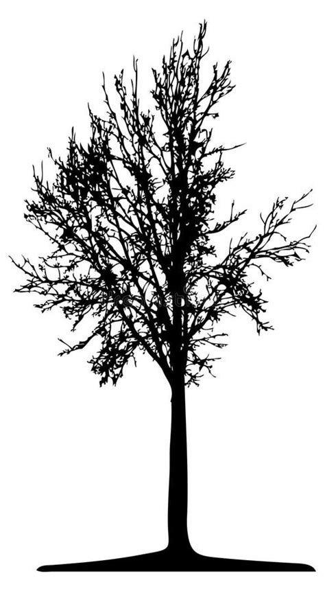 Tree Vector Stock Vector Illustration Of Needle Black 2644174