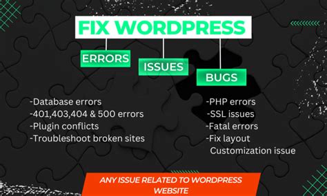 troubleshoot your wordpress website and fix errors and bugs by rabbia