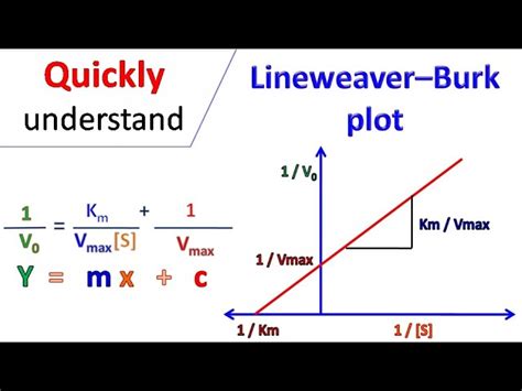 Advantages Of Lineweaver Burk Plot Angelinaqochurch