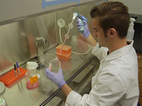 Video High Resolution Respirometry To Measure Mitochondrial Function