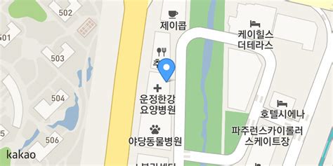 고반식당 파주야당점 카카오맵