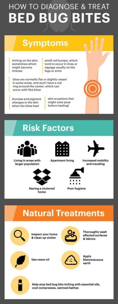 Risk Factors And Precautions For Bed Bugs Bite Ask The Nurse Expert