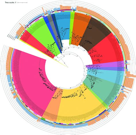 Phylogenetic Tree Of Translated Terl Gene For 313 Jumbo Phages And