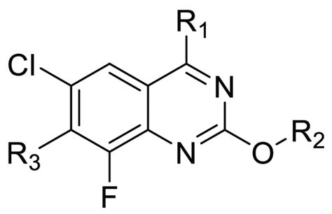 Structure Based Design And Synthesis Of Potent And Selective Kras G12d