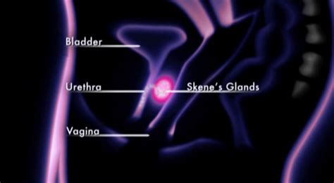 Serialas A Girls Guide to 21st Century Sex 2006 Kažkas gero