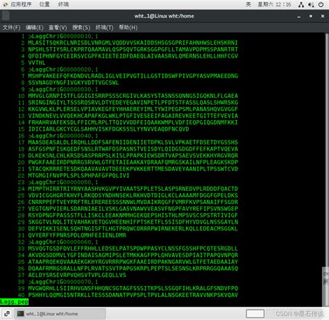 实验篇——ka ks分析 kaks分析 csdn博客