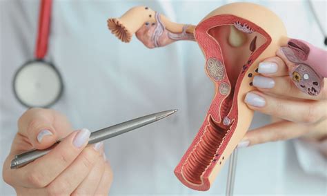 Vitamin D Deficiency Linked To Endometrial Polyps In Infertile Women