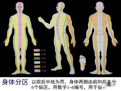 针灸微针腕踝针疗法 知乎
