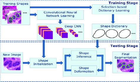 The Architecture Of Segmentation Framework In 142 This Figure