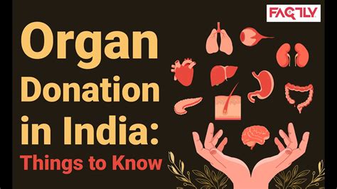 Organ Donation In India Things To Know Youtube