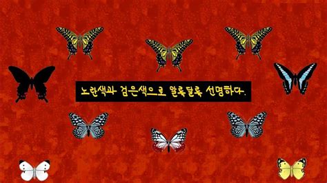 위장나비 Youtube