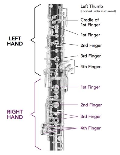 Flute Moving To Oboe
