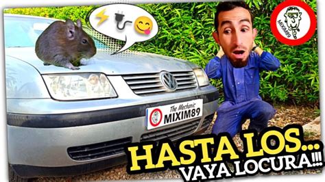 ¿ratas En El Coche Consejos Para Evitarlas By Mixim89