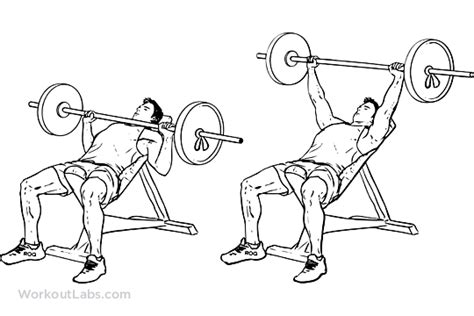 Incline Barbell Bench Chest Press Workoutlabs