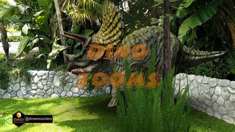 Triceratops 1 Youtube
