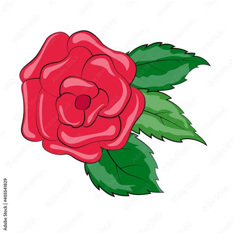 Beautiful Red Rose With Green Leaves Isolated On White Background Colorful Vector Illustration