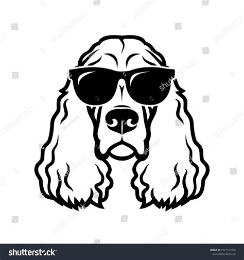 Cocker Anglais Dessin 848 Photos Libres De Droits Et Images De Stock