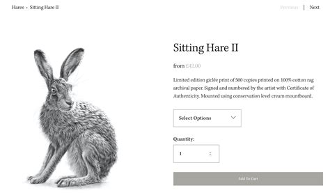 Product Carousel Arrows Invisible Customize With Code Squarespace