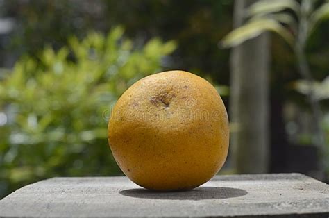 A Yellow Orange Placed On A Board Stock Photo Image Of Closeup