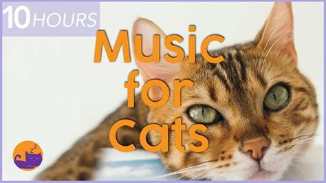 Extremely Relaxing Cat Sleep Music Relax Your Cat For Over 10 Hours