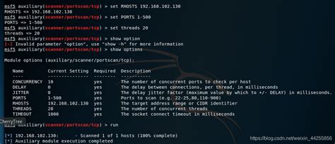 渗透之metasploit技术 端口扫描，漏洞利用search Portscan Csdn博客
