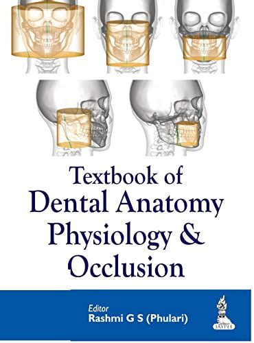 Top 8 Anatomy Textbooks Of 2023 Best Reviews Guide