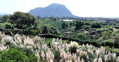 [내일 날씨] 이슬 맺히는 ‘백로에도 늦더위 계속…곳곳 소나기