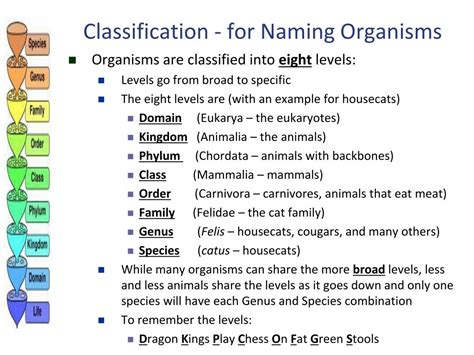 Ppt Classification Notes Powerpoint Presentation Free Download Id