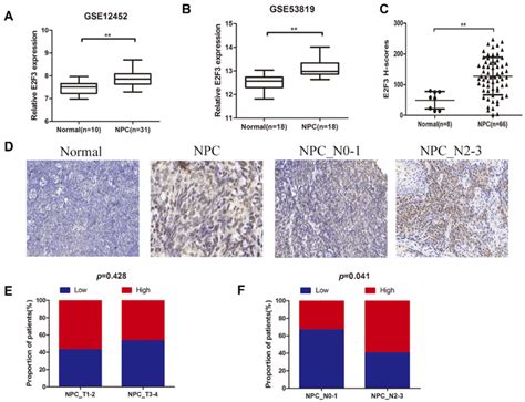 E2f3 Was Upregulated In Npc Cell Lines And Tissue Samples A And B Download Scientific