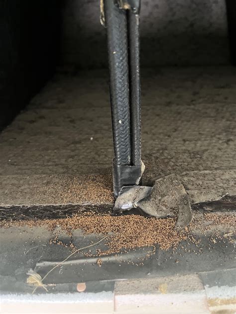 Termites Or Carpenter Ants Rhome
