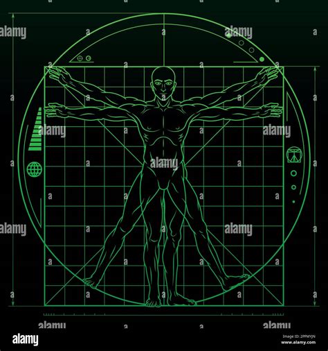 Vitruvian Man Manikin