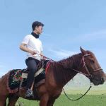 1apache Solr介绍、下载及其安装？solr、elastic Search比较？solr的工作方式？ Csdn博客