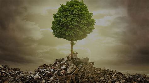 Waste Management Background