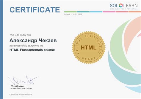 Certificate SoloLearn HTML HTML work from a freelancer s portfolio Александра example from