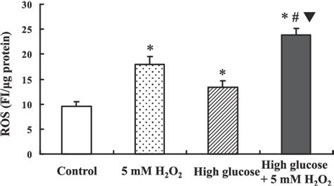 Figure 1 From Effect Of Hydrogen Peroxide And High Glucose On The