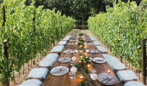 Le Migliori Degustazioni Vini In Toscana Holidoit