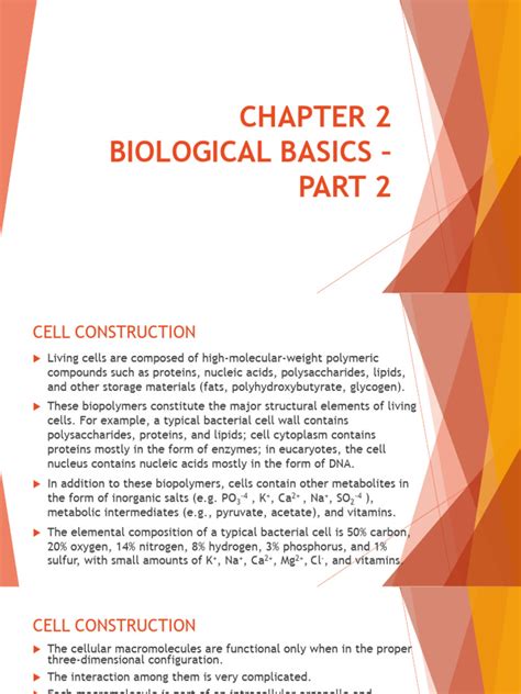 Biological Basics Part 2 Download Free Pdf Protein Structure Proteins
