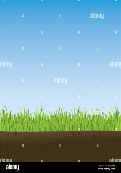 Cross Section Of Spring Grass Illustration Is Seamless And Can Be