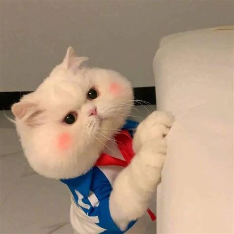 第一次和女朋友睡一起是什么感觉 知乎