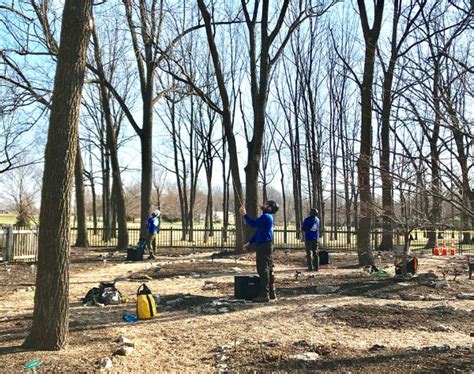 Spring 2018 Newsletter Cherokee Tree Care
