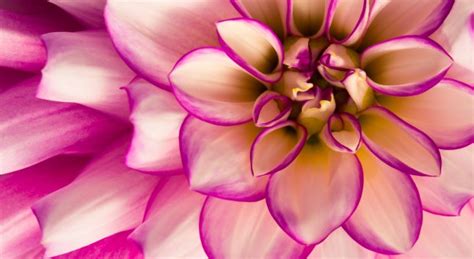 How To Create A Twirl Effect In Photoshop A Quick Guide