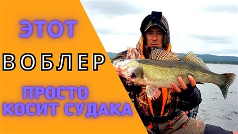 Лучший воблер на судака, для троллинга. Аргази, троллинг в один ...