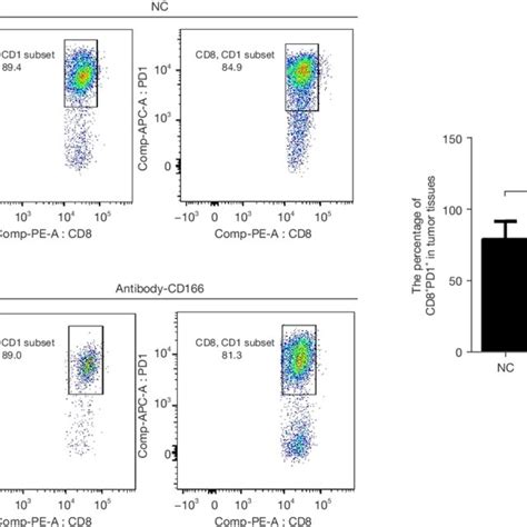 The Proportion Of Cd8 Pd 1 T Lymphocytes In Mouse Tumor Tissues Was