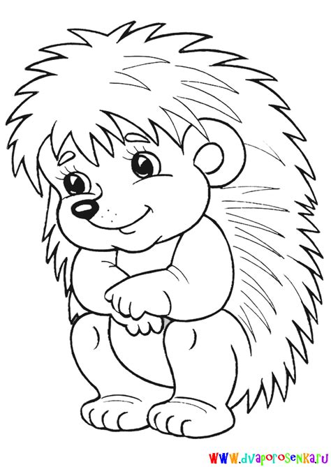 раскраски ежики еж