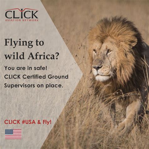 Maria Tkachenko Posted On Linkedin